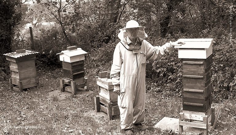COMMENT PLACER LES RUCHES - L’apiculture naturelle